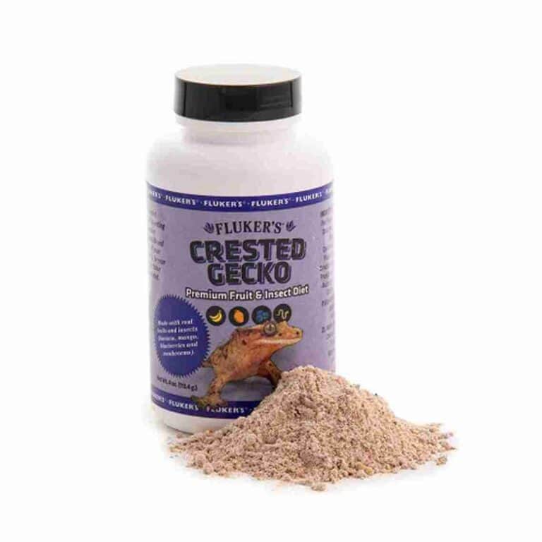 List Of The Best Crested Gecko Foods (Mixes, Fruits + Insects)