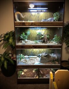 10 Awesome DIY Reptile Terrarium Enclosures To Make At Home
